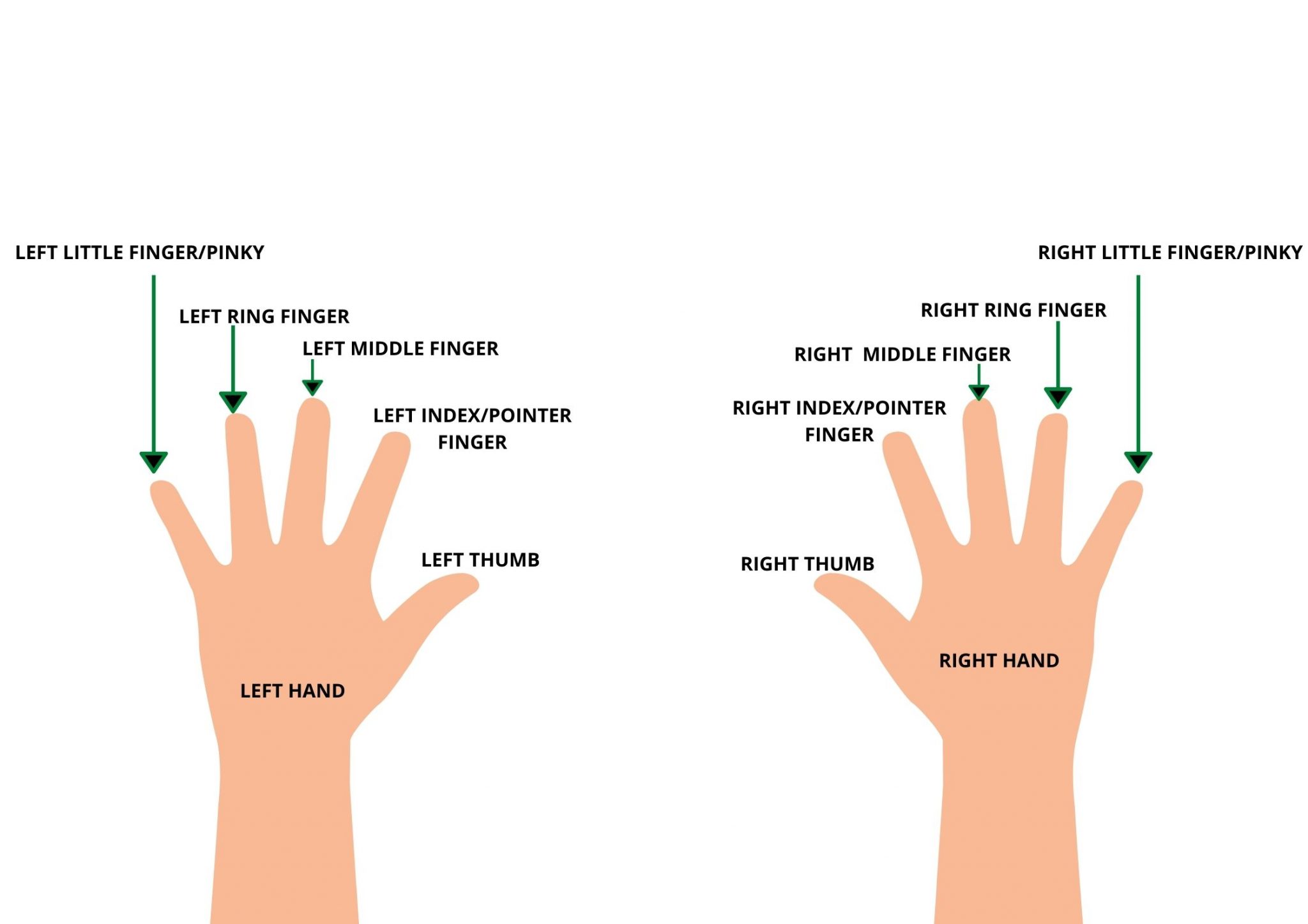 Rings And Fingers Unmasking The Symbolism Wedding KnowHow Rings And Fingers Unmasking The Symbolism Wedding KnowHow